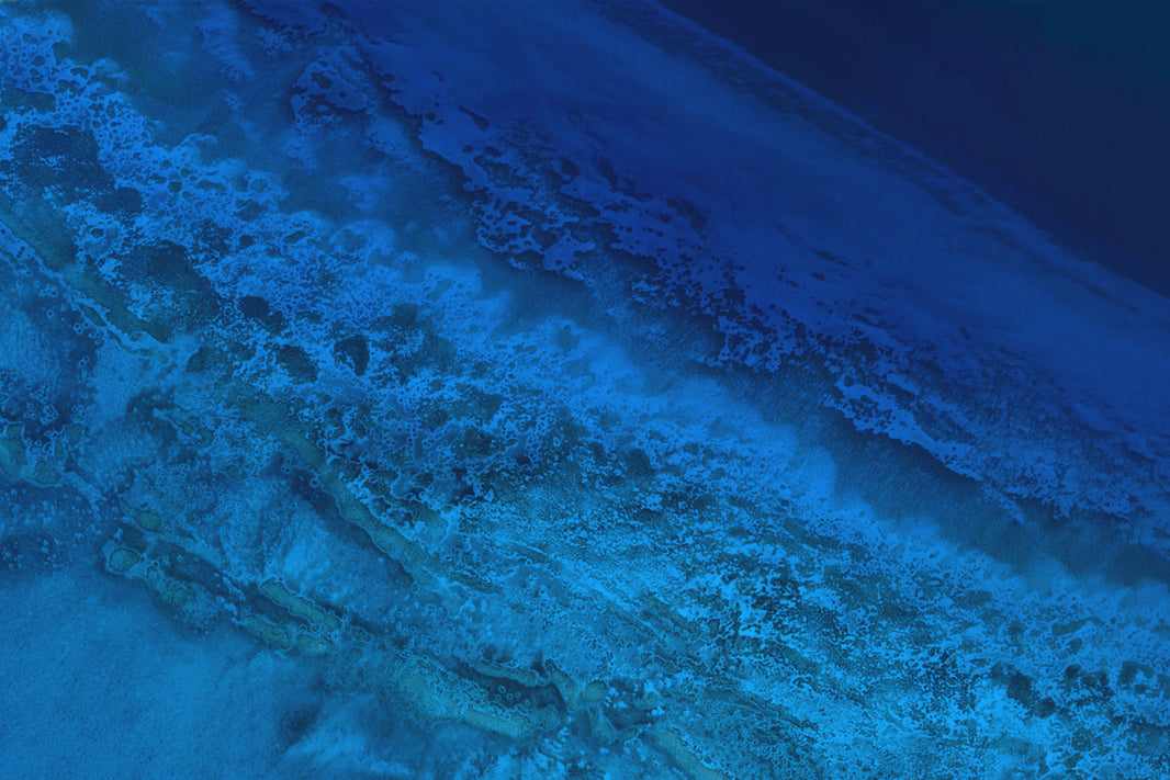 Satellite Fishing Maps – CatchMap.co